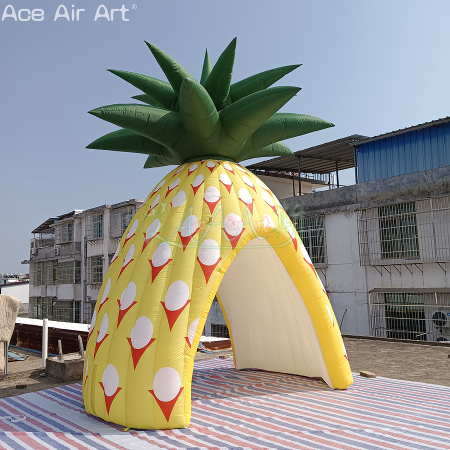 3m Diameter 5m High Inflatable Pineapple Tent/Pineapple Tunnel Tent ...