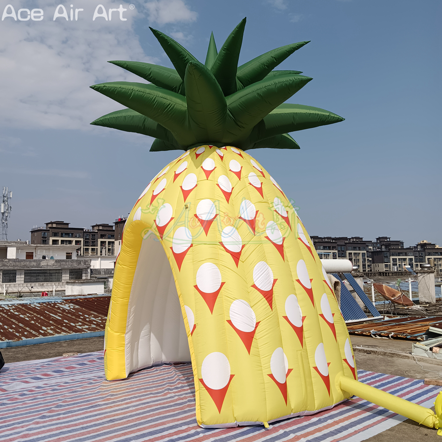 3m Diameter 5m High Inflatable Pineapple Tent/Pineapple Tunnel Tent ...